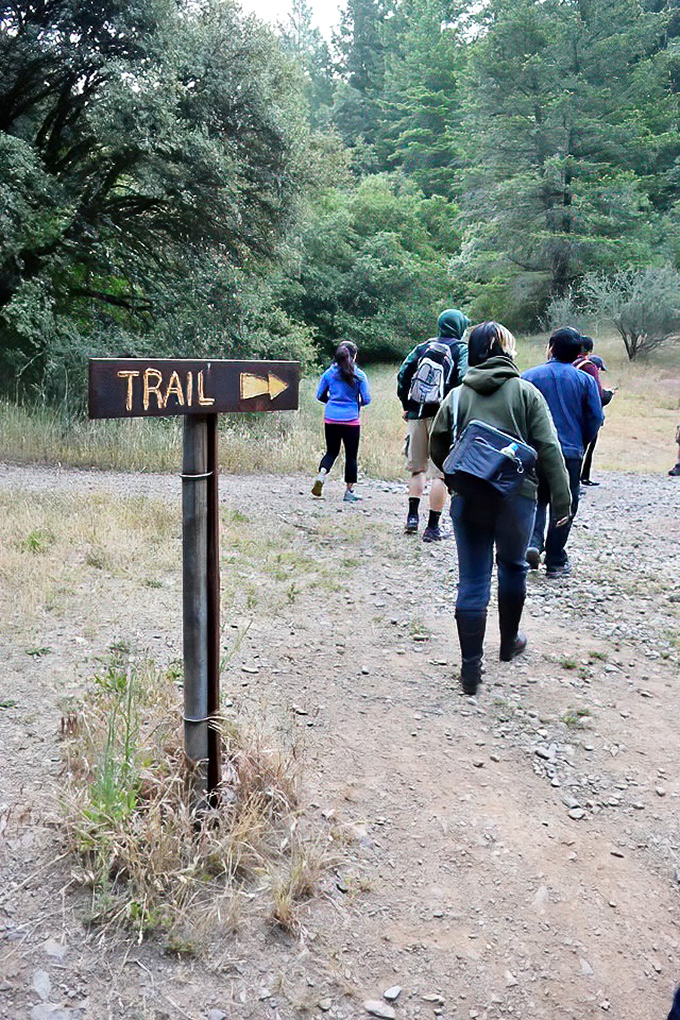 Stevens Trail serves up views that make your fitness tracker forgive you for yesterday's dessert decisions.