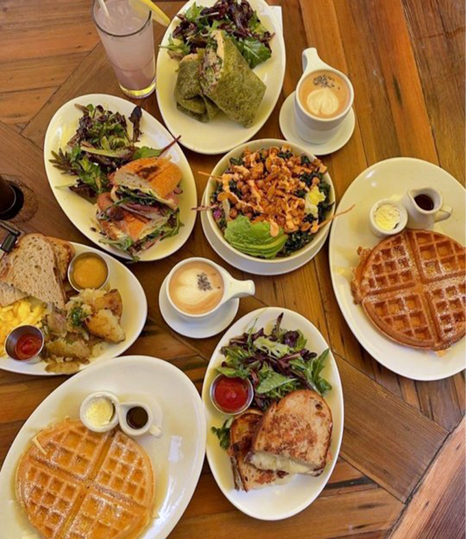 Brunch spread that would make your Instagram followers weep with envy. Waffles, sandwiches, and salads that prove breakfast really is the most important meal.