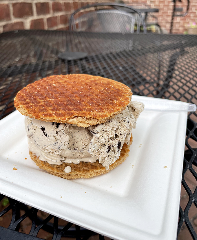 Ice cream sandwiches that look like they graduated summa cum laude from dessert university with full honors.