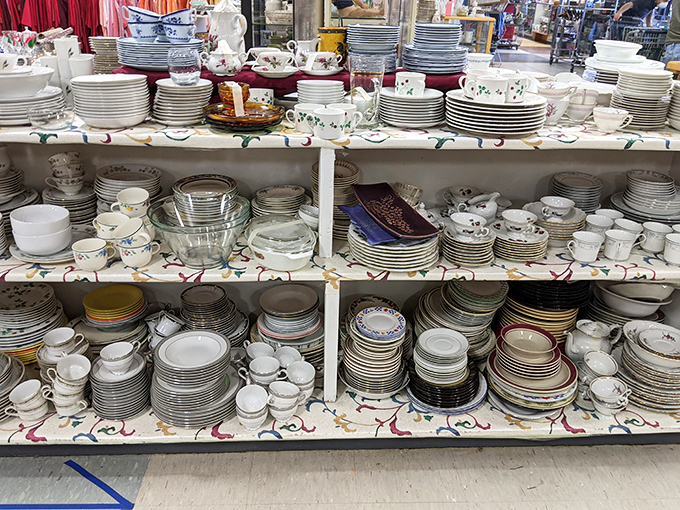 Dish paradise! From everyday plates to forgotten china patterns, these shelves hold the ghosts of thousands of family dinners past.