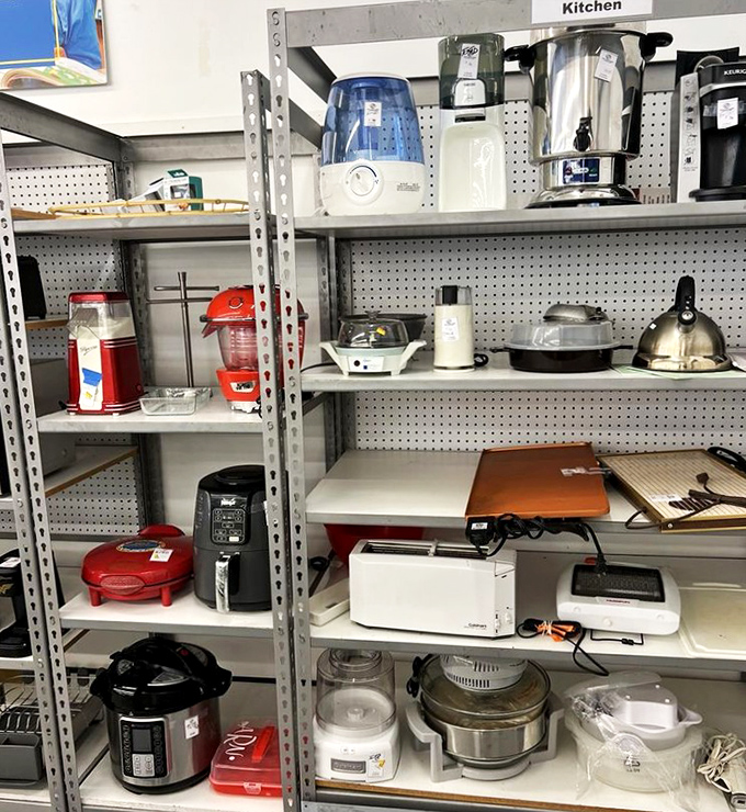 The small appliance graveyard where perfectly functional coffee makers and pressure cookers await resurrection in your kitchen.