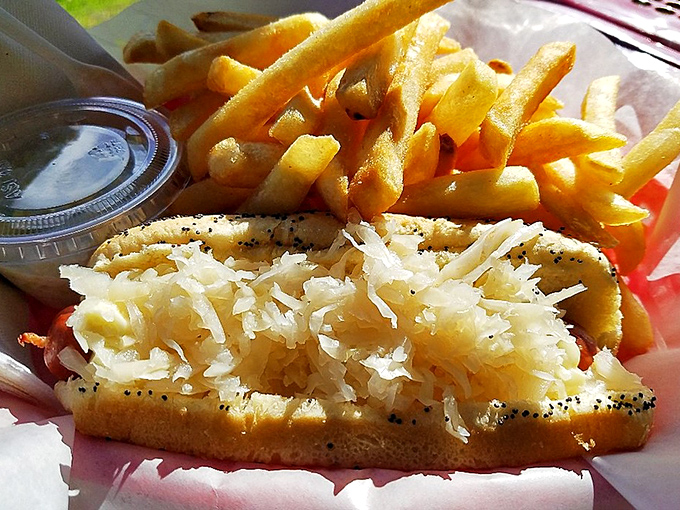 Sauerkraut transforms an ordinary hot dog into something that would make your German grandmother proud.