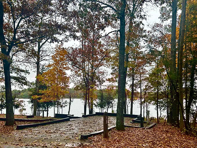 Autumn carpets the forest floor with leaves that crunch better than fresh potato chips.