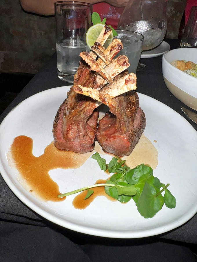 Lamb chops standing at attention like meaty soldiers, perfectly pink and ready to sacrifice themselves for your dining pleasure.