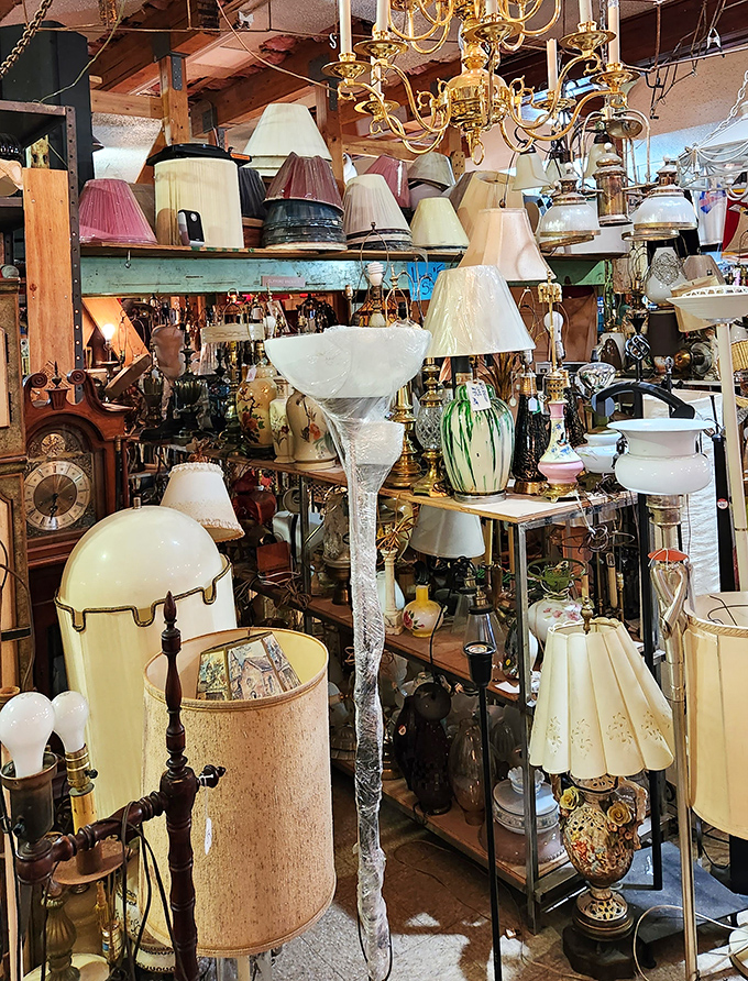 The lamp section glows with possibilities—chandeliers that once illuminated grand spaces now offer themselves to your humble abode.