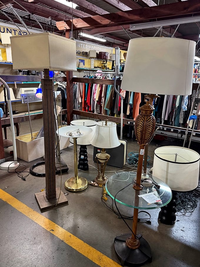 A forest of floor lamps with personalities as diverse as Hollywood casting calls. That brass one's definitely been in someone's screenplay.