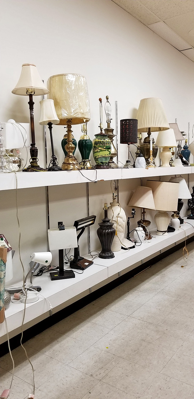 The lamp section glows with potential. That emerald green base could be the statement piece your living room's been missing all along.