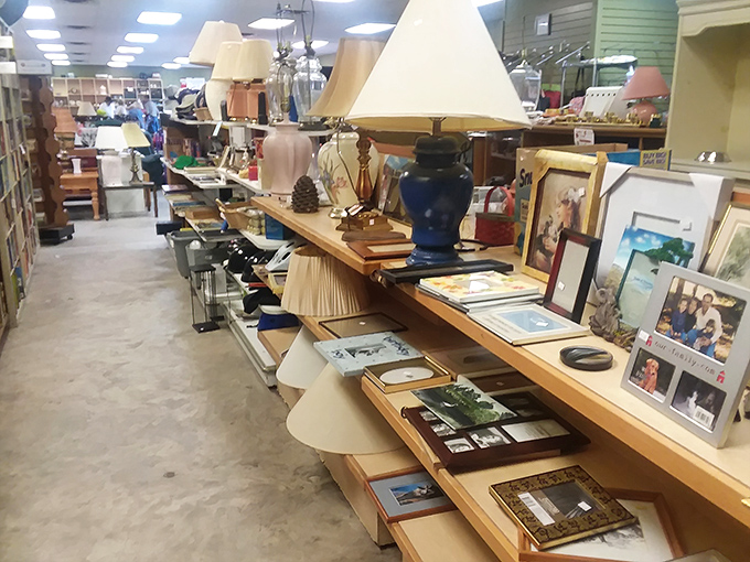 A lamp forest where vintage shades and quirky bases create the perfect backdrop for your next "look what I found" story.