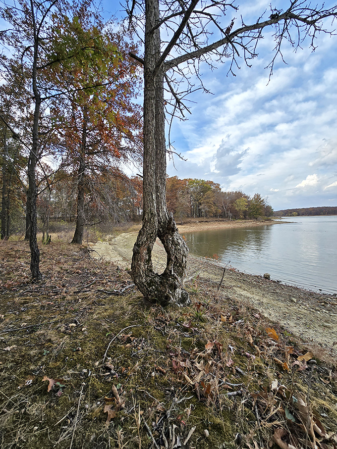 Mother Nature's autumn fashion show reflects perfectly in Long Branch Lake, where even the trees dress to impress.