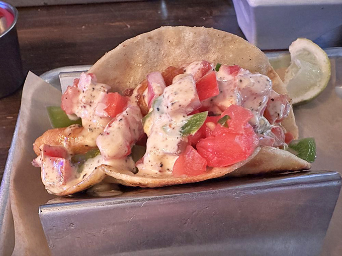 Fresh seafood tacos served in metal holders&mdash;because when something tastes this good, it deserves a proper throne.