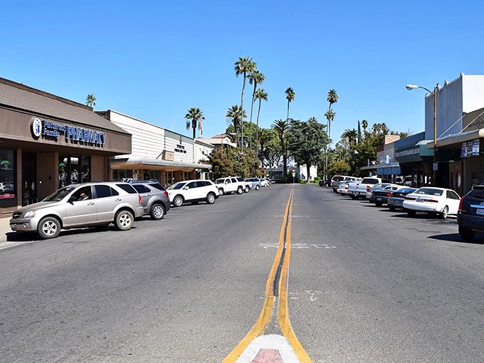 Downtown Patterson's palm-lined streets offer that small-town shopping experience where you might actually run into someone you know.