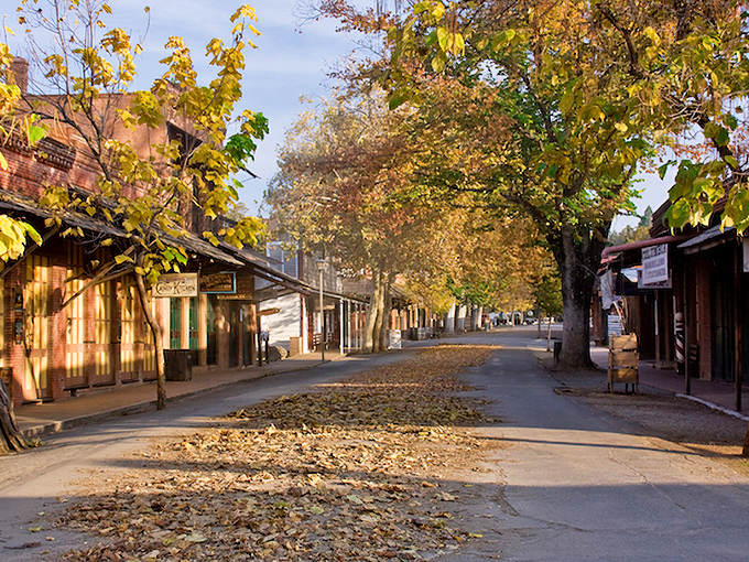 Autumn leaves carpet Columbia's main thoroughfare, nature's golden tribute to a town that knows a thing or two about precious metals.