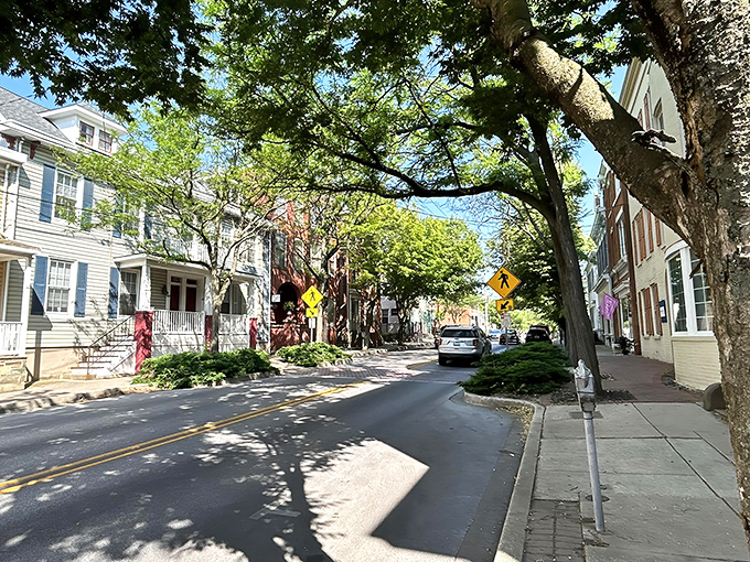 Tree-lined streets with historic homes create the kind of neighborhood where people actually wave to each other &ndash; imagine that!