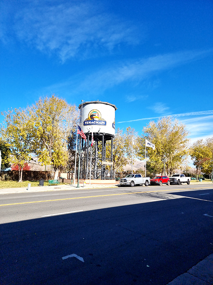 The Tehachapi water tower appears in another season, proving that even the town's landmarks enjoy showing off their versatility throughout the year.