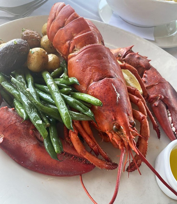 Maine lobster, the diva of the seafood world, takes center stage with supporting actors green beans and potatoes. A performance worth the ticket price.
