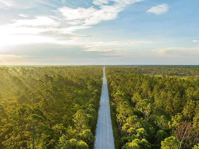 The road less traveled actually exists – stretching through Myakka State Forest where your blood pressure drops with each mile marker.