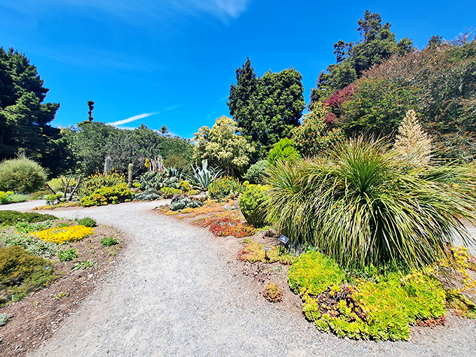 These botanical gardens cascade to the sea like nature's own stairway to heaven, minus the Led Zeppelin.