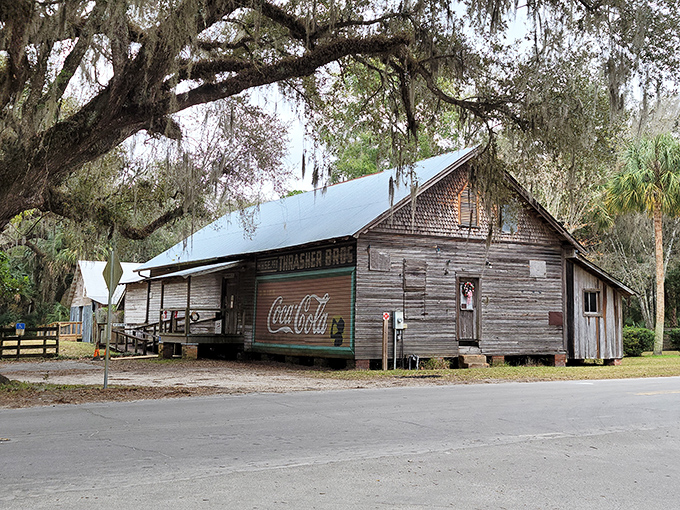 The Micanopy Historical Society Museum preserves local stories in a weathered wooden building that's practically a museum piece itself.