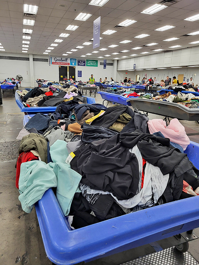 The blue bin sea where fashion finds new life. Shoppers navigate these textile waters with the determination of seasoned explorers.