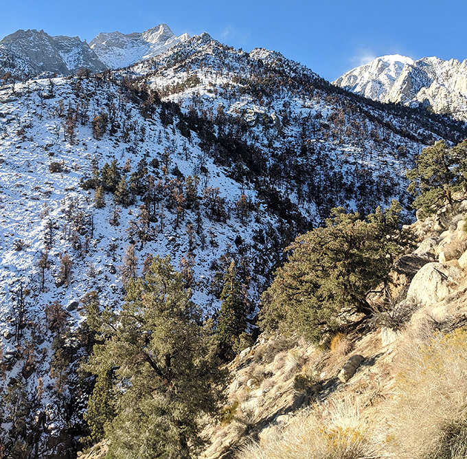 Winter transforms the Alabama Hills' backdrop into a snow-capped masterpiece. Mother Nature's seasonal costume change never disappoints.