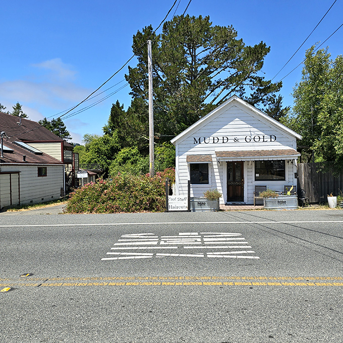 Mudd & Gold&mdash;where treasure hunting doesn't require a metal detector, just an appreciation for coastal craftsmanship.