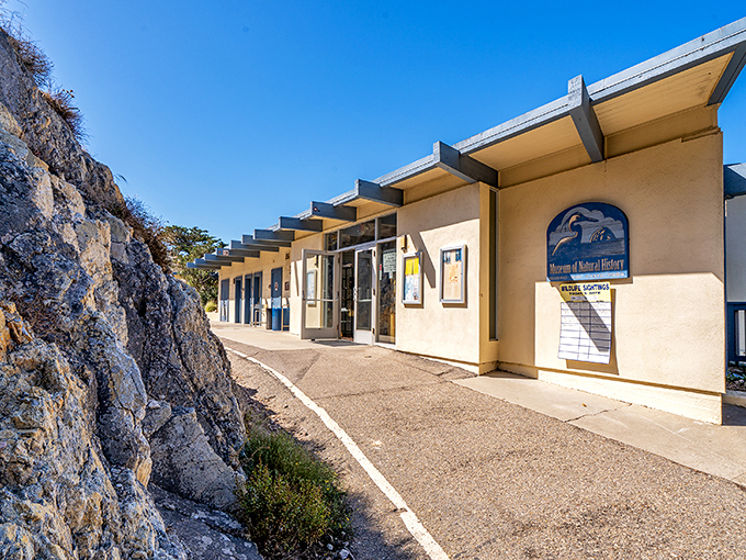 Natural history lessons delivered in settings so beautiful you forget you're actually learning something educational and important.