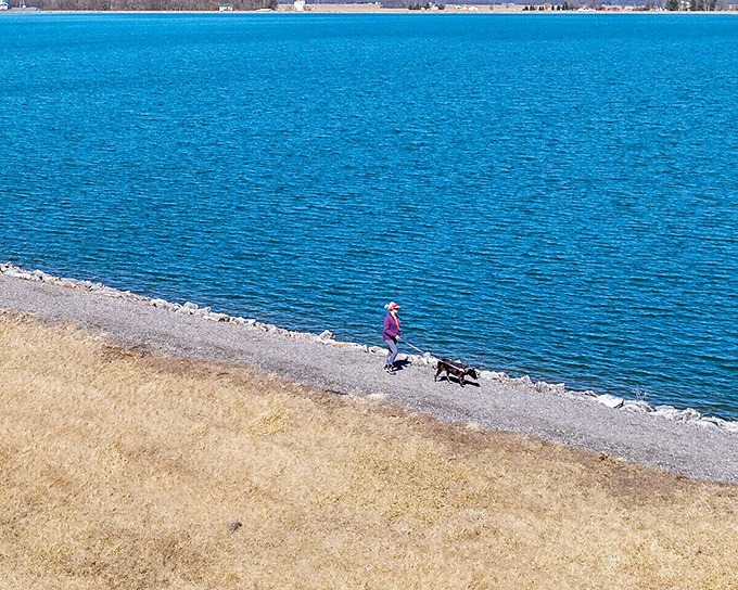 At Outhwaite Reservoir, even the dogs know that waterfront property doesn't have to come with a seven-figure mortgage.