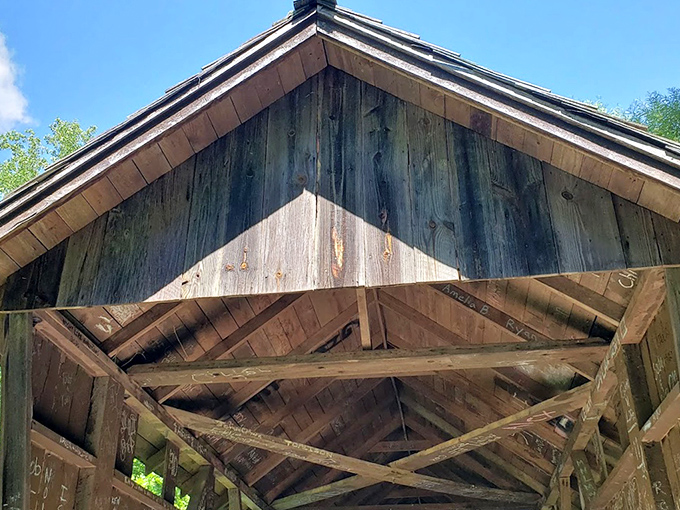 From above, the moss-covered roof tells its own story of peaceful coexistence with the natural world. 