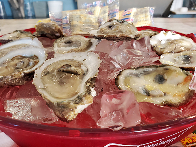 Fresh oysters on ice, glistening like pearls from Neptune's jewelry box, with crackers standing at attention.