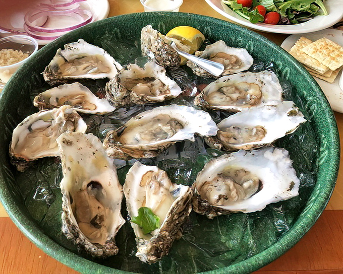 Nature's perfect appetizer – briny, plump oysters that taste like they were harvested while you were parking your car.