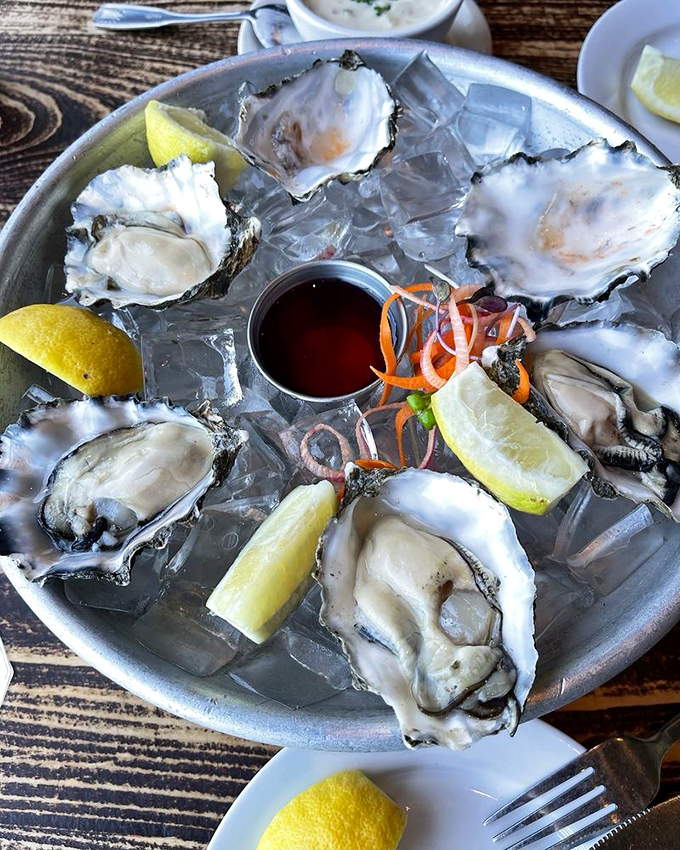 Oysters on the half shell&mdash;nature's perfect appetizer. Each one a briny little time capsule from the deep, needing nothing more than a squeeze of lemon.