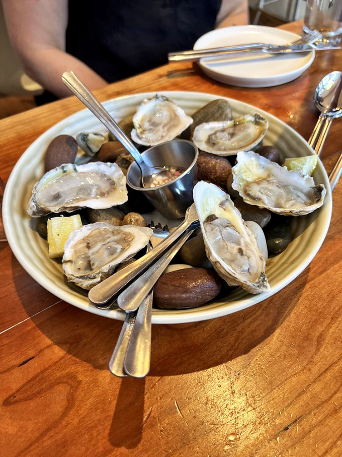 Fresh oysters nestled on ice &ndash; nature's perfect appetizer, tasting like the ocean decided to send you a personal postcard.