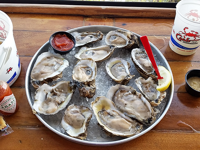 These oysters aren't just fresh; they're practically still gossiping about what happened in the Gulf this morning.