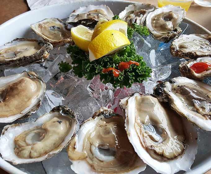 Fresh oysters on the half shell&mdash;nature's perfect appetizer. A squeeze of lemon, a dash of hot sauce, and you're experiencing the ocean's finest.
