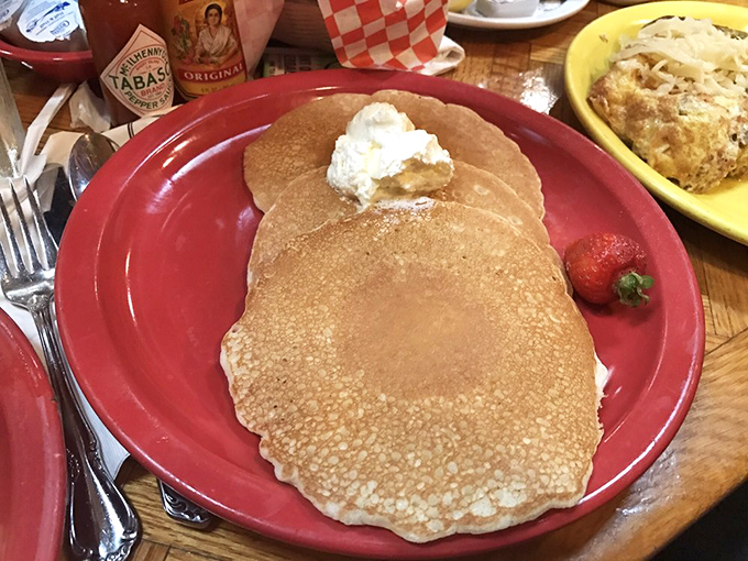 Pancake perfection in its purest form. Golden, fluffy, and ready for its maple syrup waterfall moment.
