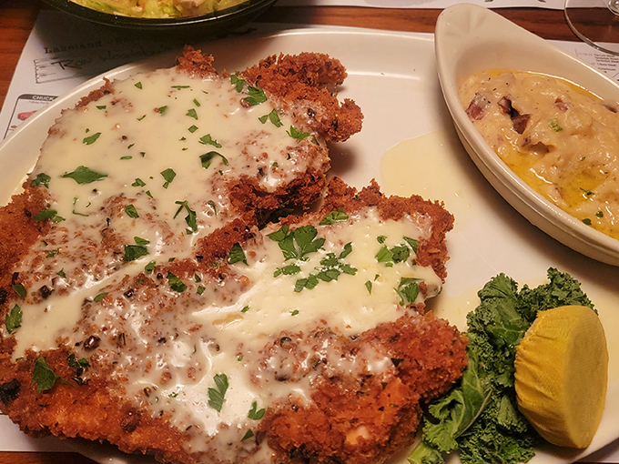 Parmesan-crusted chicken that's had a proper introduction to cream sauce. Proof that not everything at a steakhouse has to moo first.