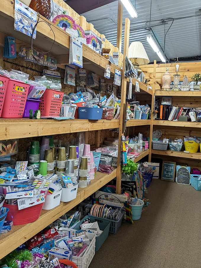 Party supplies galore! Everything you need for your next celebration, minus the cleanup crew and awkward small talk.