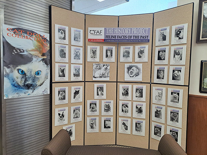 "Feline Faces of the Past" chronicles champion cats through history, a veritable Mount Rushmore of distinguished whiskers and championship pedigrees.