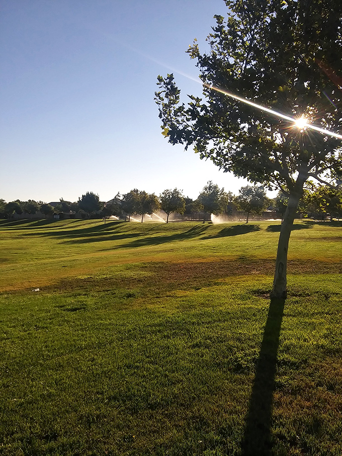 Persimmon Park delivers peaceful recreation where families can breathe without urban stress weighing them down.