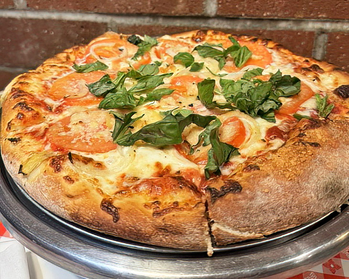 Fresh basil leaves crown this margherita like tiny green flags declaring victory over ordinary pizza.