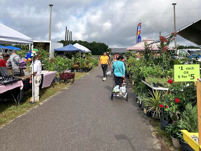 Plant parents, beware! You'll arrive for one succulent and leave with a mobile garden. That "$1 each or 6 for $5" sign is the botanical equivalent of a siren's call.