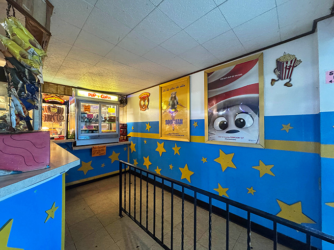 Stars on the walls and stars on the screen&mdash;this concession area's whimsical decor promises childhood delight regardless of your actual age. 
