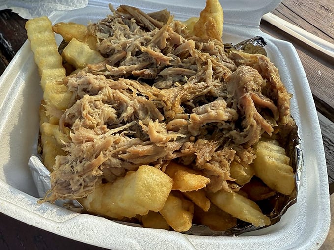 Pulled pork fries: where comfort food has a beautiful identity crisis. Is it a side? A main? Who cares when something tastes this gloriously indulgent.