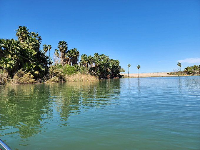 Palm trees reflect in tranquil waters, creating nature's perfect symmetry &ndash; a desert oasis that feels like finding treasure in an empty pocket.