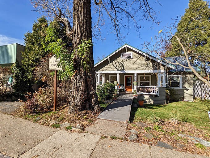 Bungalow heaven with a front porch that practically demands you sit down with lemonade and forget your password-reset questions.