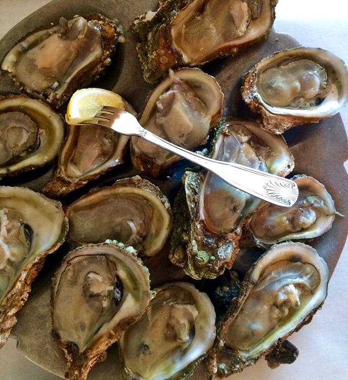 Apalachicola oysters on the half shell&mdash;briny, sweet, and fresh as a sea breeze. Just a squeeze of lemon is all these beauties need.