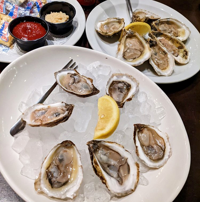 Fresh oysters on ice &ndash; nature's perfect appetizer that tastes like the ocean decided to send you a personal postcard.