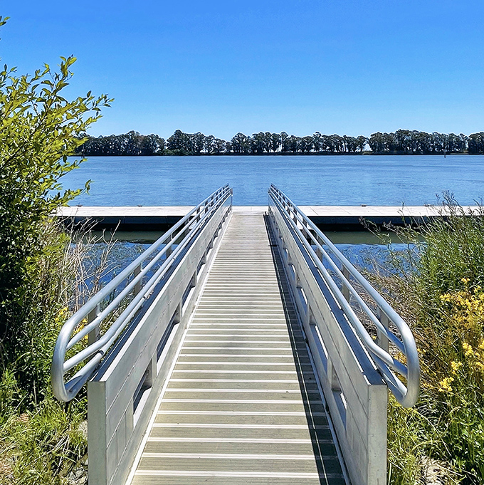This fishing pier stretches toward possibility, inviting both serious anglers and daydreamers to venture just far enough from shore to find perspective.