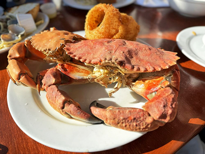 Rock crab so sweet and meaty, it makes you wonder why anyone settles for imitation seafood.