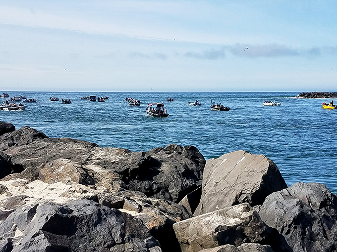 The fishing fleet heads out at dawn, a daily ritual that connects modern visitors to the bay's timeless rhythms.